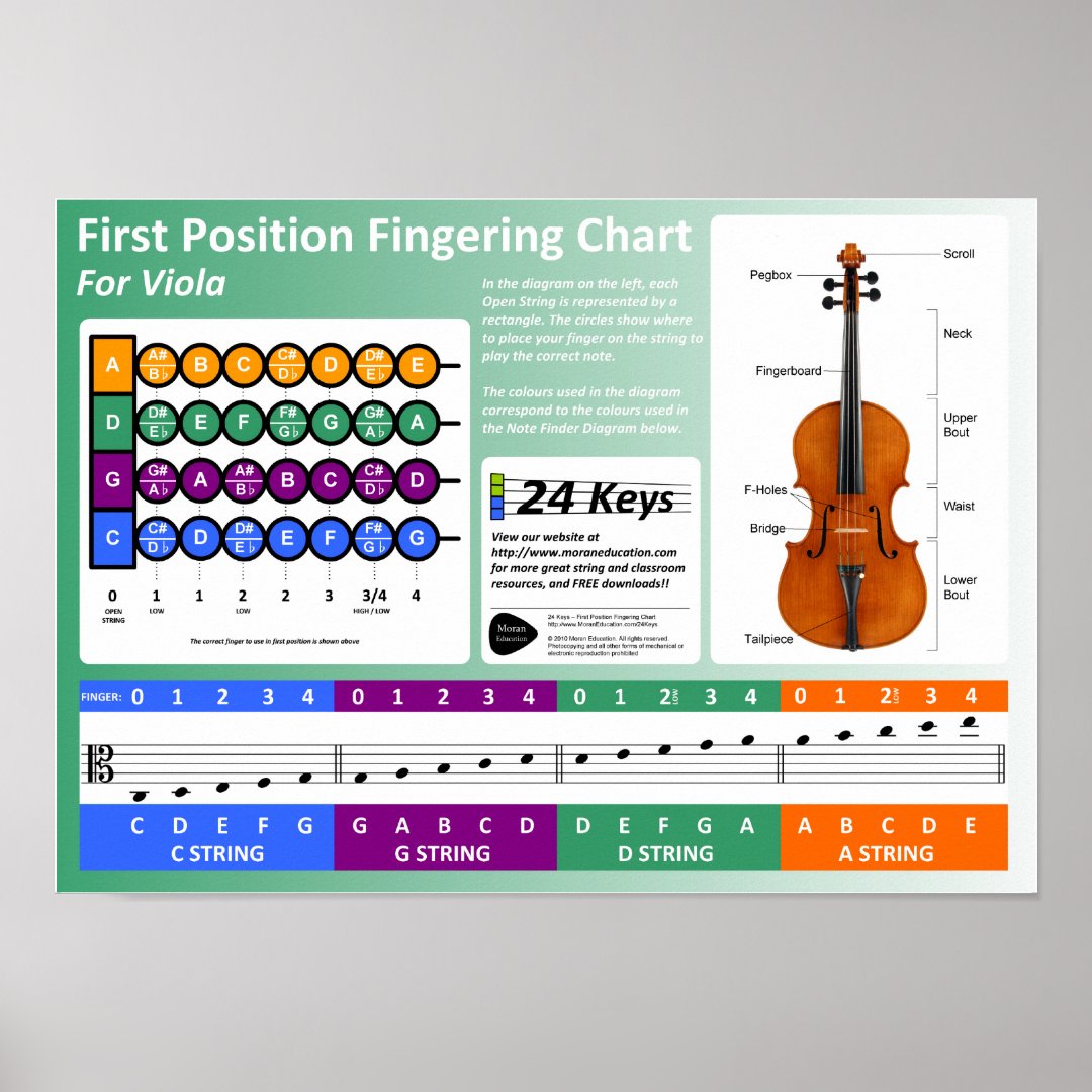 Viola Fingering Chart | Zazzle