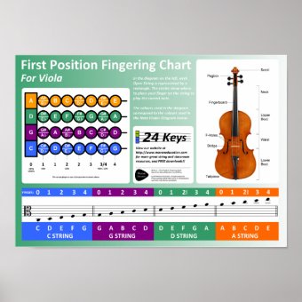 Viola Fingering Chart | Zazzle