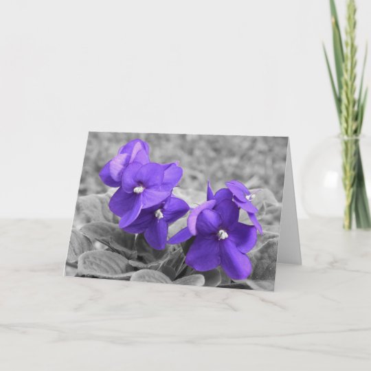 Violet Card | Zazzle.com