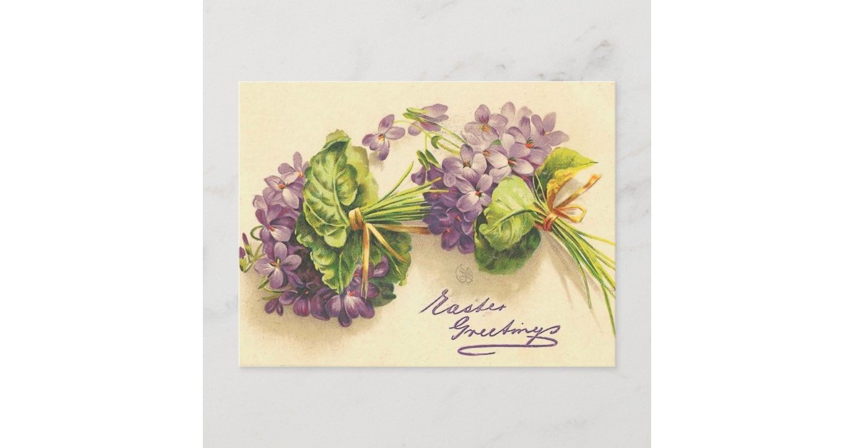Violet Easter Postcard | Zazzle