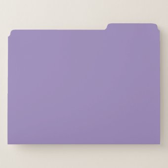 Violet Simple Professional Borders I v2 File Folder | Zazzle