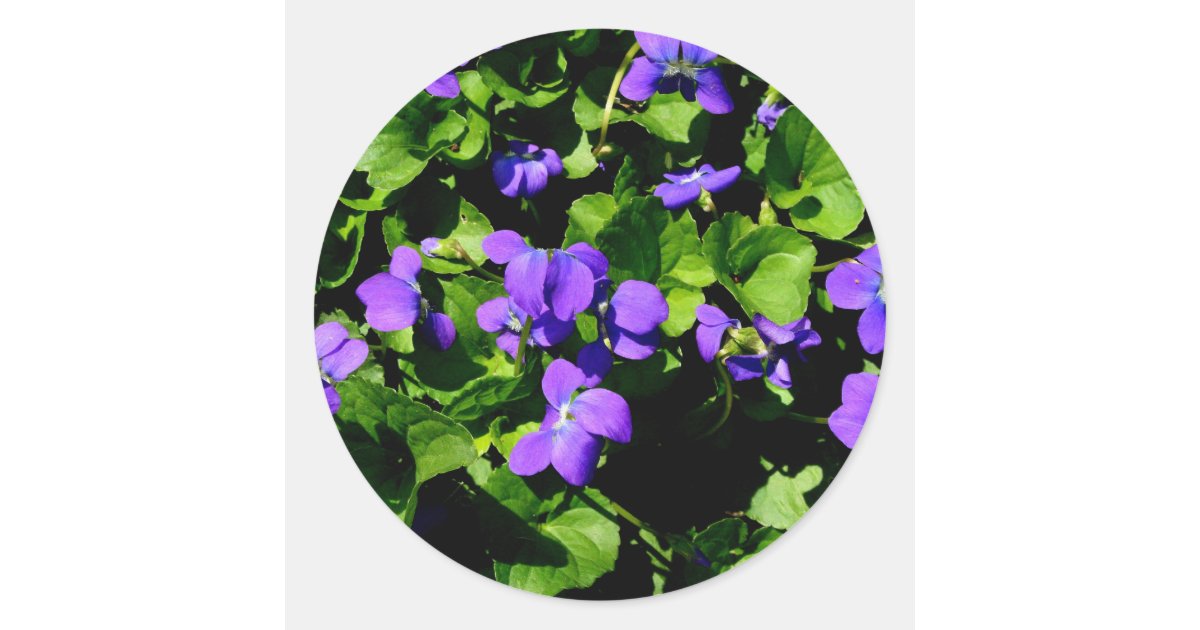 Violet Stickers | Zazzle