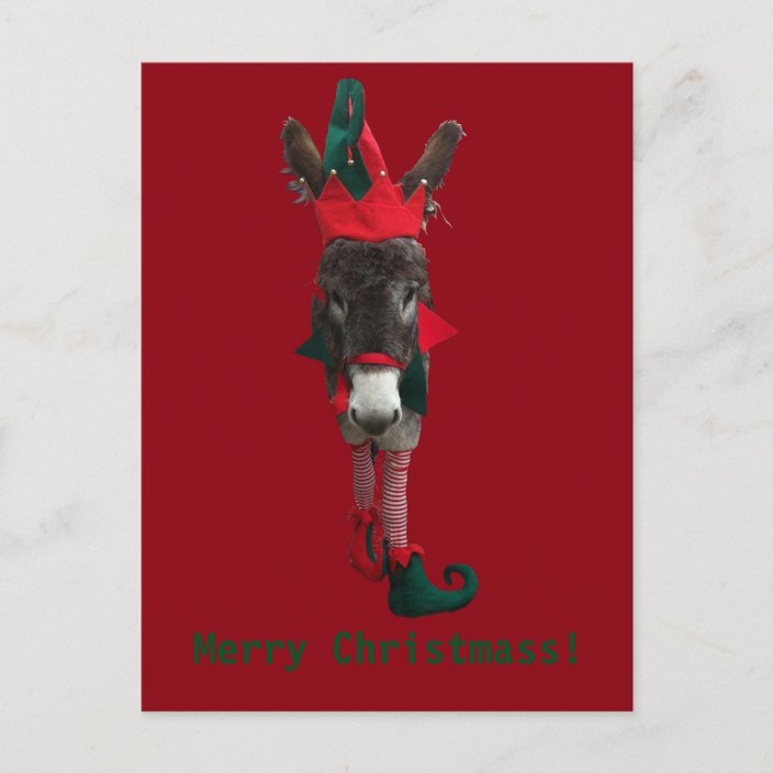 Violet the Elf Postcard | Zazzle.com