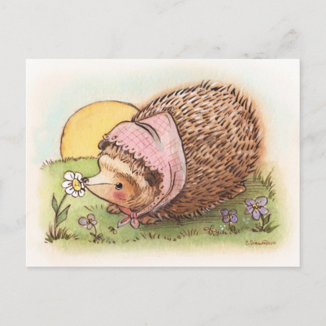 Violet the Hedgehog Postcard | Zazzle
