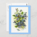 violets postcard | Zazzle