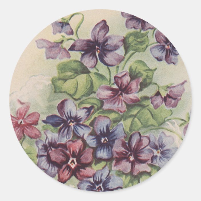 Violets - Sticker | Zazzle.com