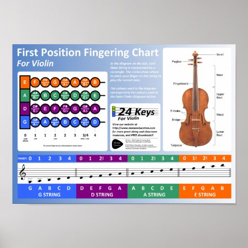 Violin Fingering Chart | Zazzle