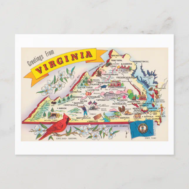 Virginia Greetings From US States Postcard | Zazzle