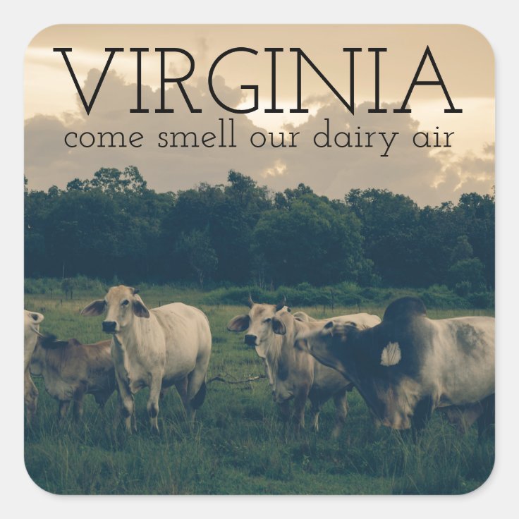 Virginia Monogram | Come Smell Our Dairy Air Quote Square Sticker | Zazzle