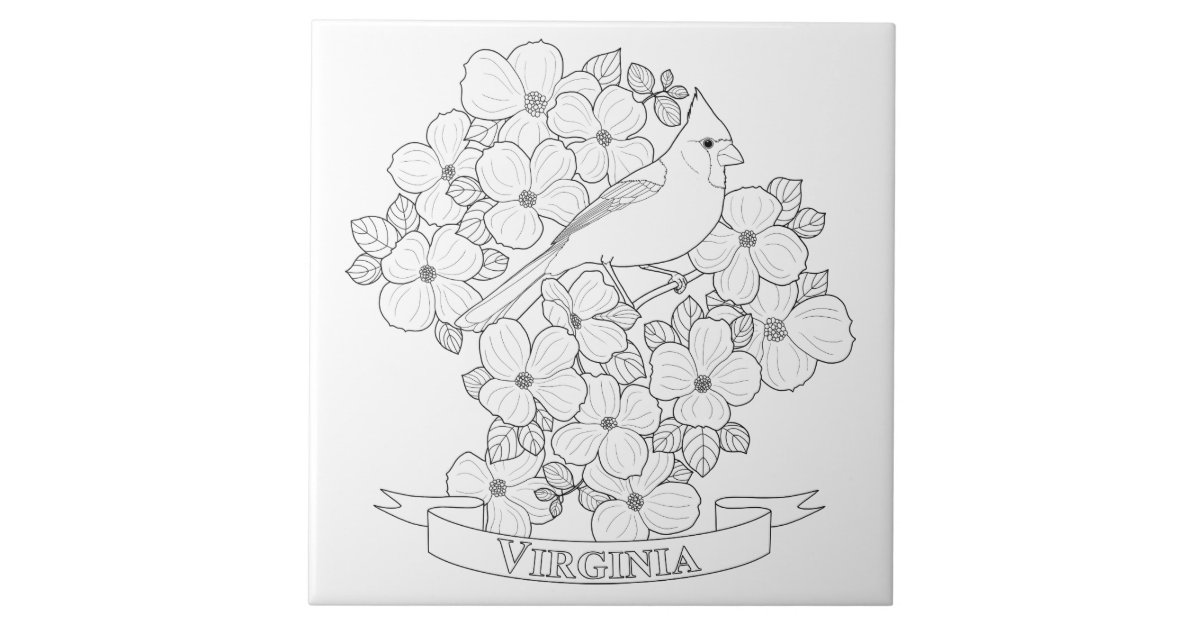 state birds and flowers coloring pages