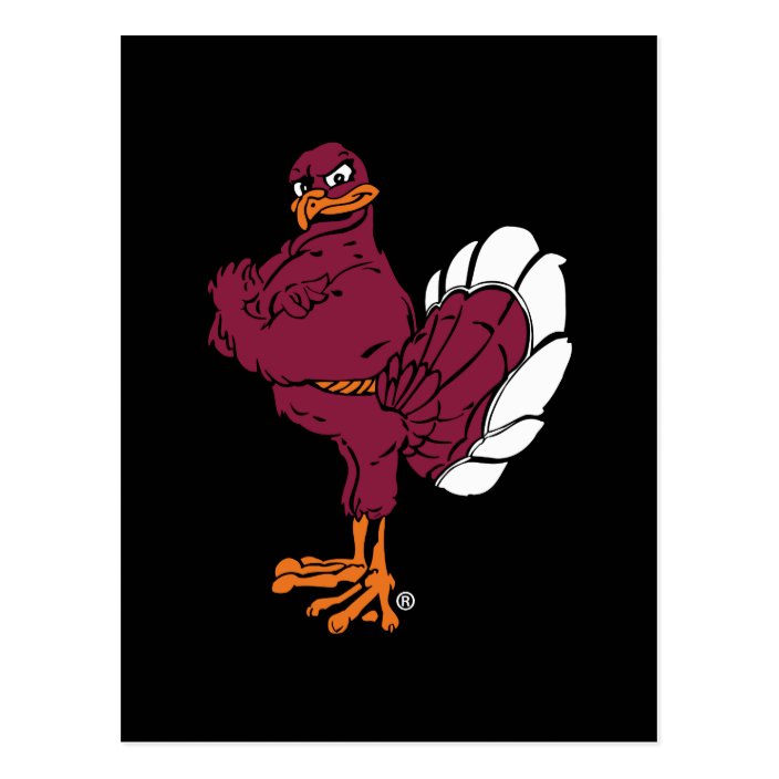 Virginia Tech Hokie Bird Postcard | Zazzle.com