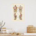Viscera & Abdominal Anatomy Poster French | Zazzle