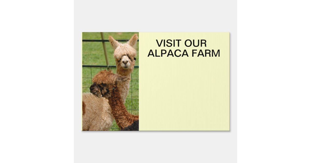 VISIT OUR ALPACA FARM SIGN | Zazzle