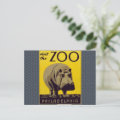 Visit The Zoo!! Postcard | Zazzle