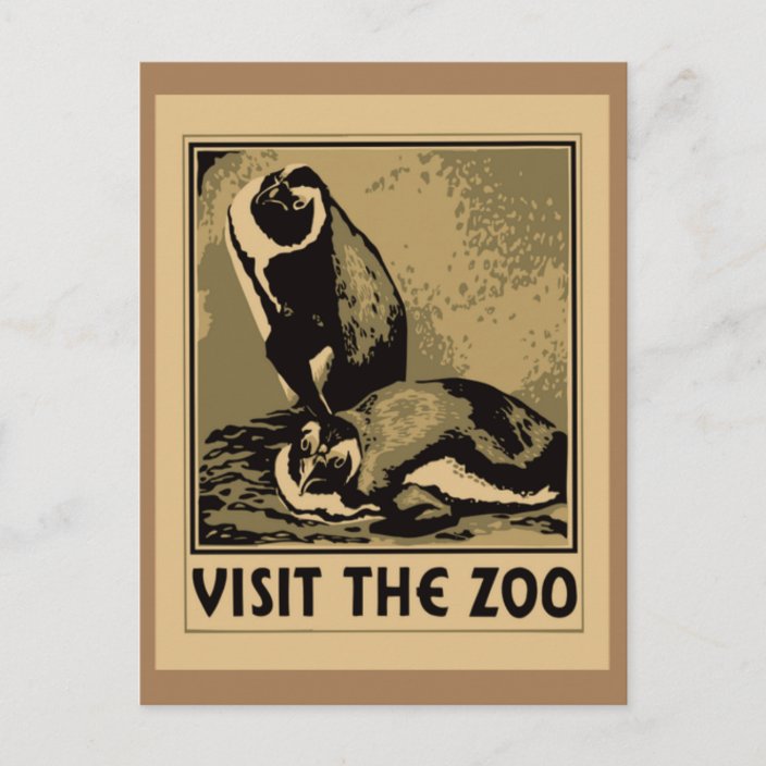 Visit the Zoo Postcard | Zazzle.com