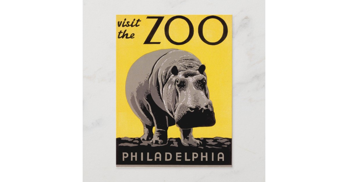 Visit the Zoo Postcard | Zazzle