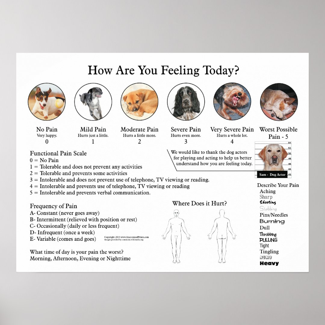 Visual Pain Scale Poster Wall Chart | Zazzle