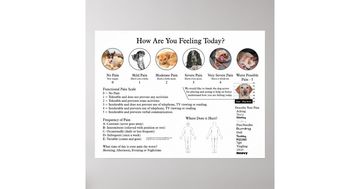 Visual Pain Scale Poster Wall Chart | Zazzle