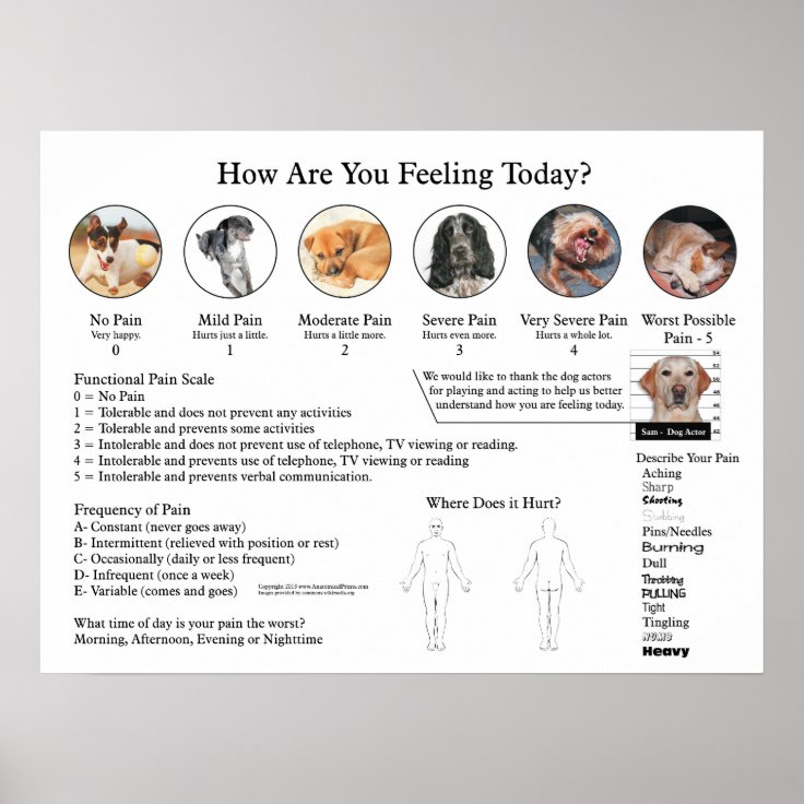Visual Pain Scale Poster Wall Chart | Zazzle