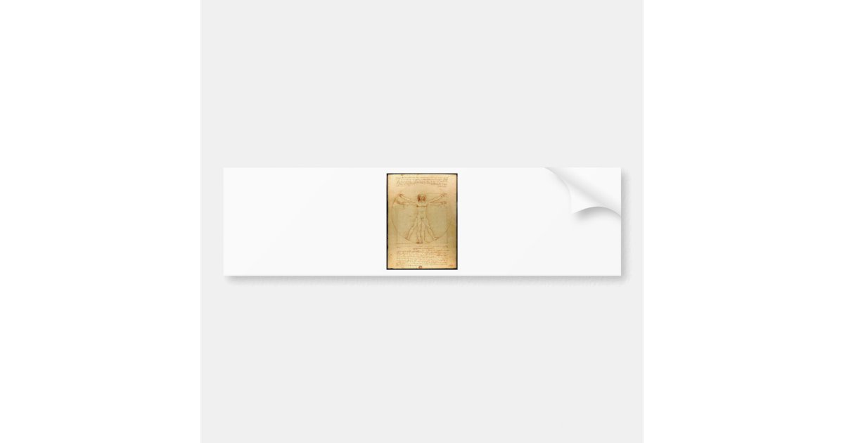 Vitruvian man. bumper sticker | Zazzle