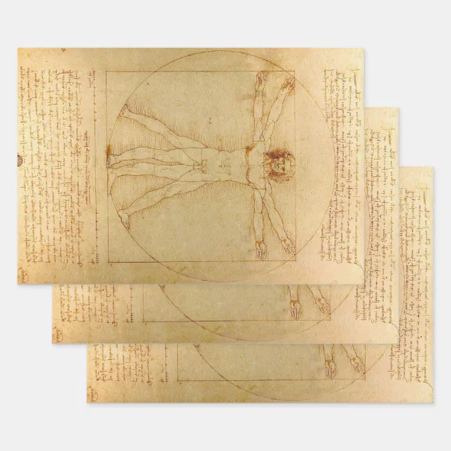Vitruvian Man by Leonardo Da Vinci Wrapping Paper Sheets | Zazzle