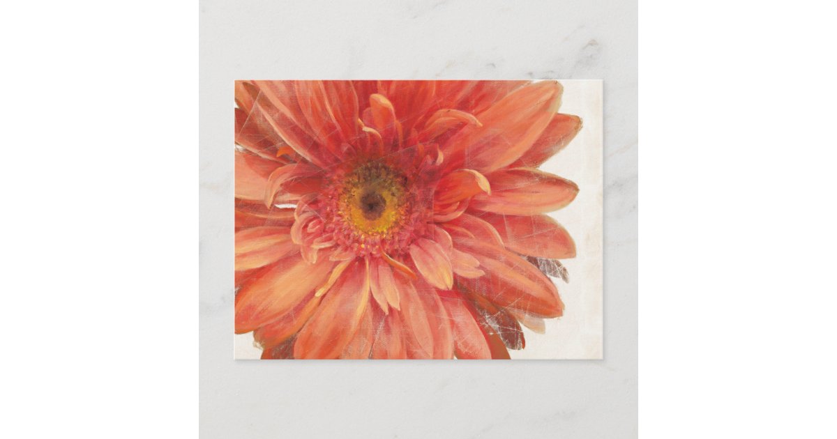 Vivid Daisy Postcard | Zazzle