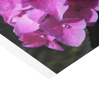 Vivid Pink Hydrangea Tissue Paper | Zazzle