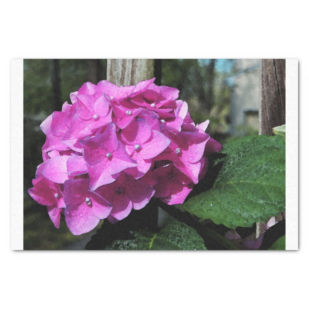 Vivid Pink Hydrangea Tissue Paper | Zazzle