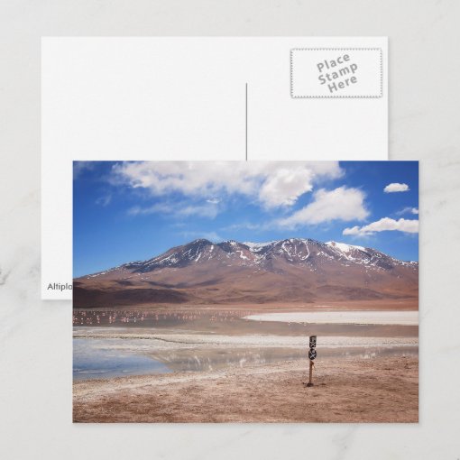 Volcano in an Altiplano landscape postcard | Zazzle