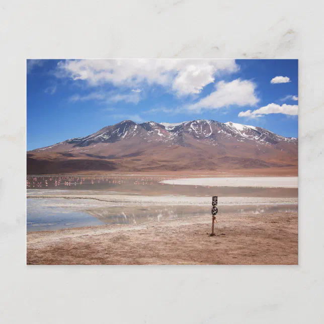 Volcano in an Altiplano landscape postcard | Zazzle