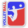 Volleyball Sports | 3"x 3"- Glossy Transparent Sticker | Zazzle