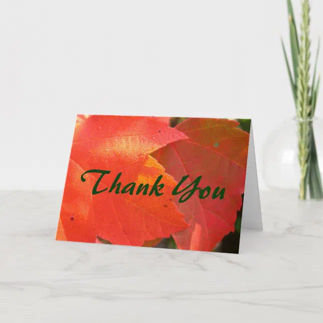 Volunteer Thank You Card | Zazzle