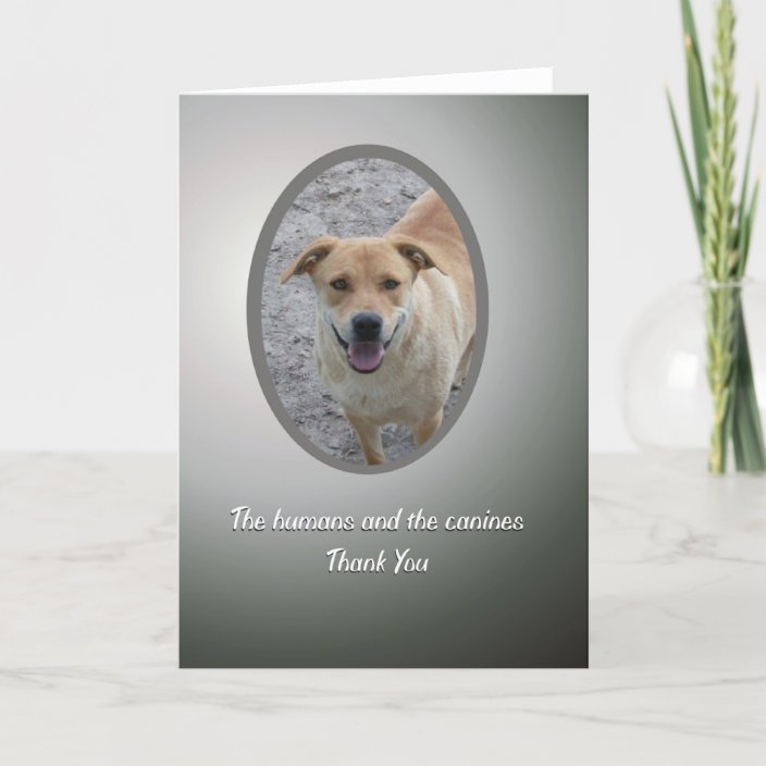 Volunteer Thank You, Dog Rescue Thank You Card | Zazzle.com