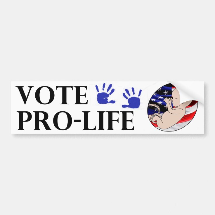 Vote Pro-Life Bumper Sticker | Zazzle