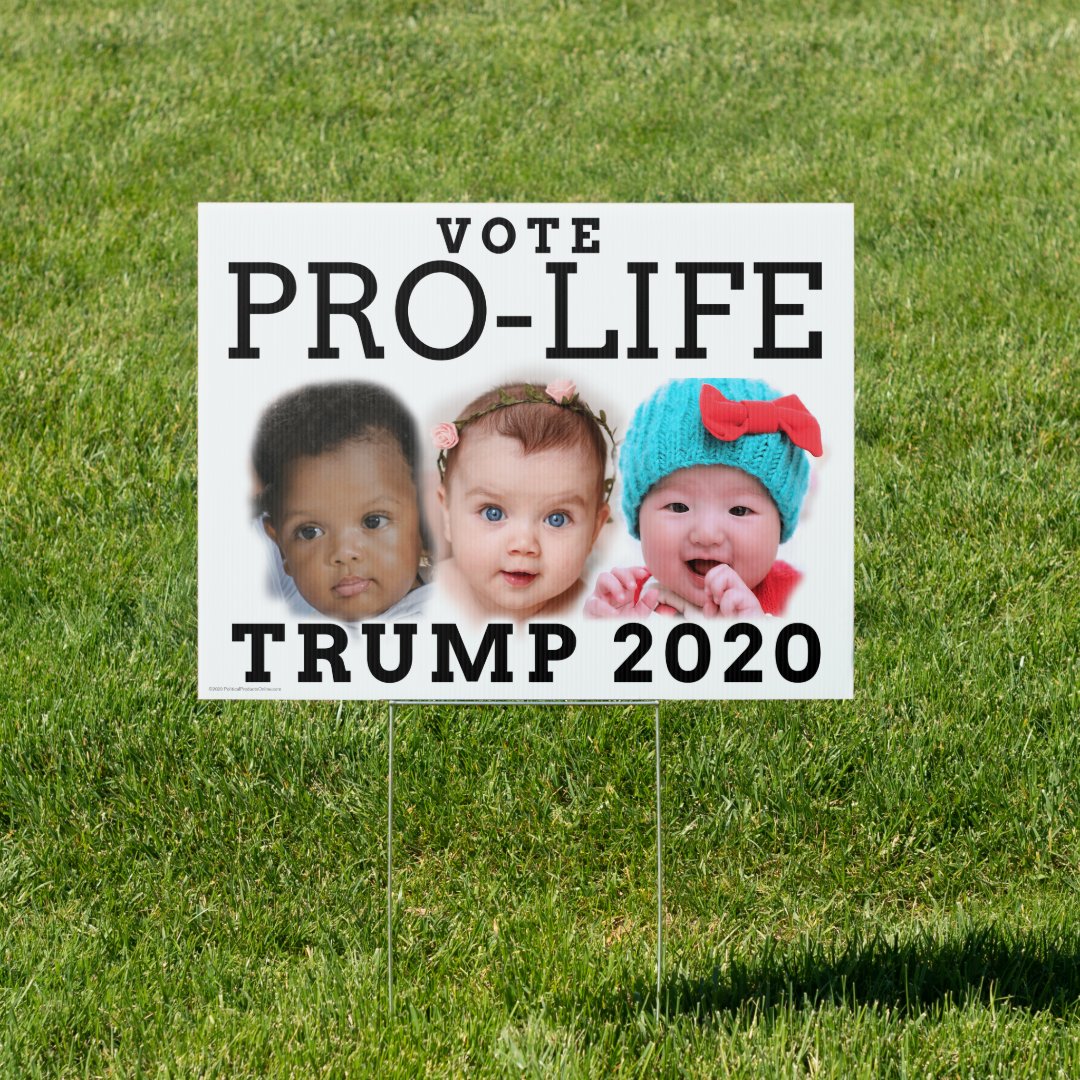 Vote Pro-Life Cute Babies Trump 2020 Yard Sign | Zazzle