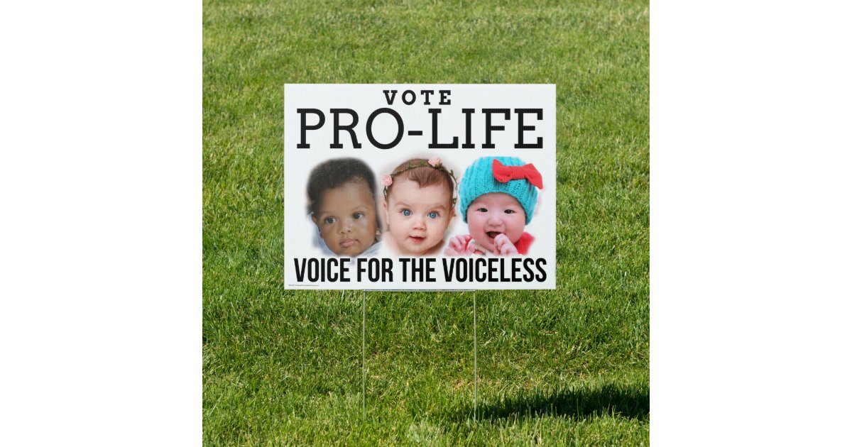 Vote Pro-Life Voice for the Voiceless Yard Sign | Zazzle