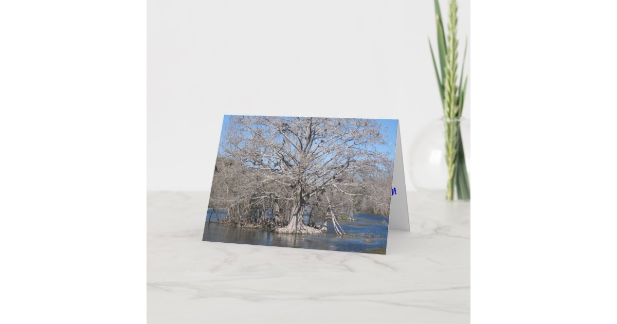 Vulture Birthday Card | Zazzle