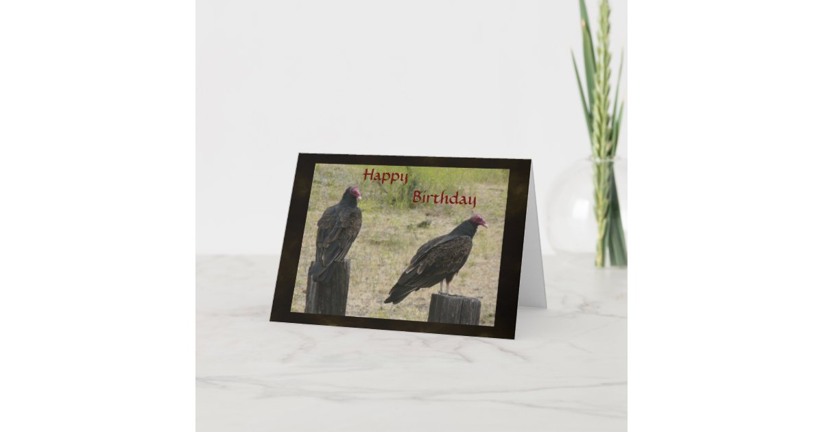 Vulture Birthday Card | Zazzle