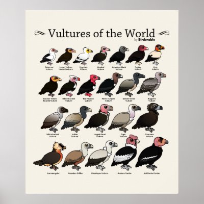 Cute Vultures of the World by Birdorable - Gifts & Free Downloads