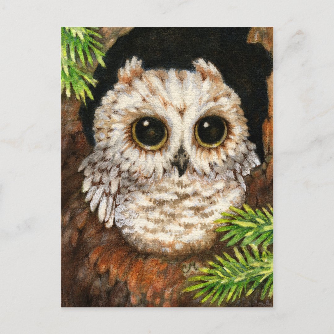 Wake Up, Little Owl - Cute Bird Art Postcard | Zazzle