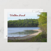Walden Pond, Concord, MA Postcard | Zazzle