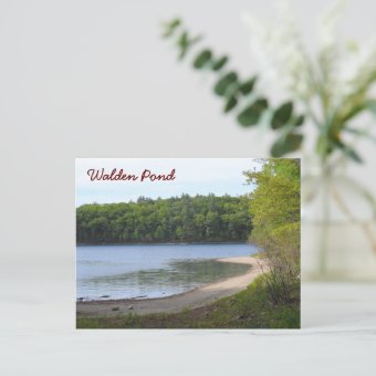 Walden Pond, Concord, MA Postcard | Zazzle
