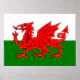 Wales flag Welsh red dragon Poster | Zazzle