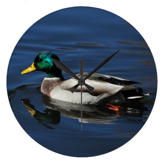 Wall Clock, Mallard Duck Large Clock | Zazzle.com