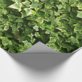 Wall of Ivy Leaves Wrapping Paper | Zazzle