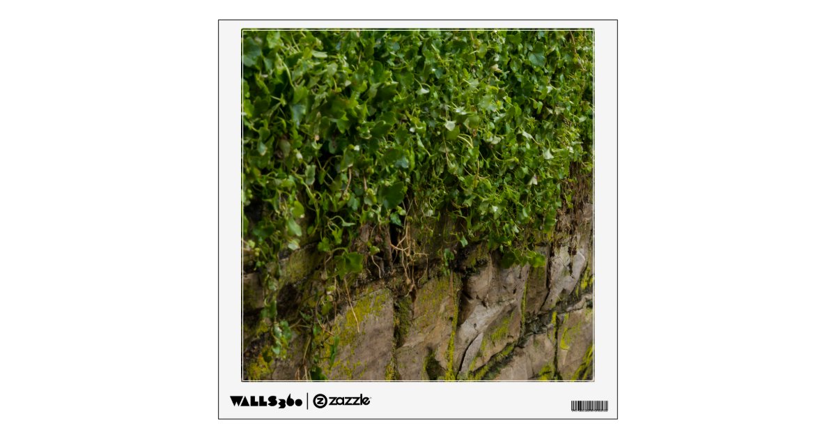 Wall Of Ivy Wall Decal | Zazzle