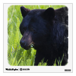 Black Bear Wall Decals & Black Bear Wall Stickers for any Room | Zazzle