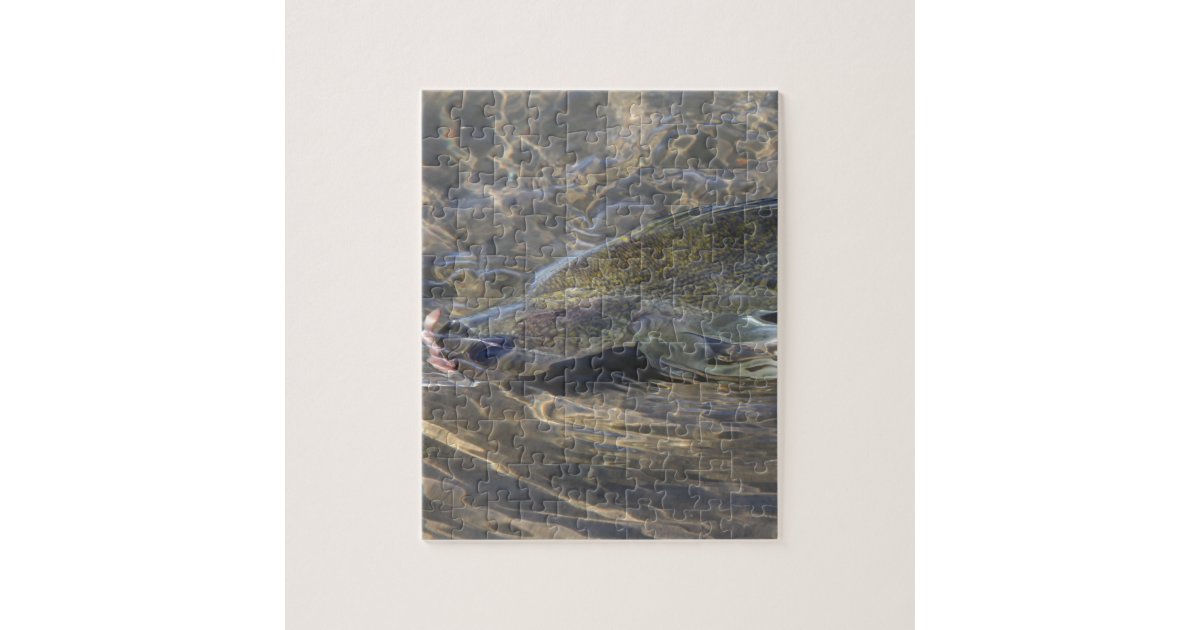 Walleye Caught Jigsaw Puzzle | Zazzle