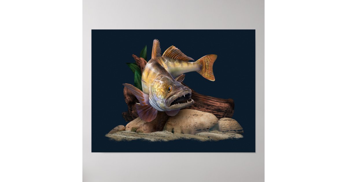 Walleye Fishing Illustration, Walleye Fisherman Poster | Zazzle