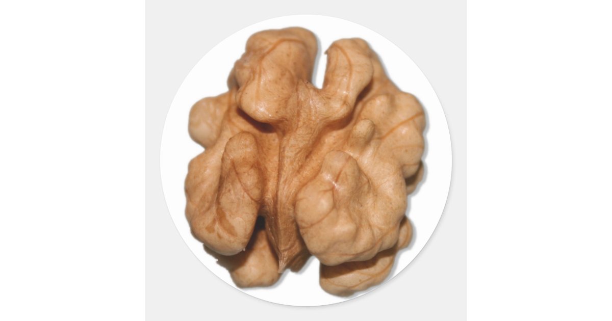 Walnut Classic Round Sticker | Zazzle.com